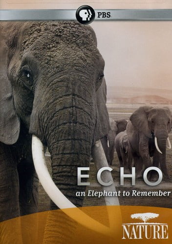 Echo: An Elephant to Remember (DVD) - Walmart.com