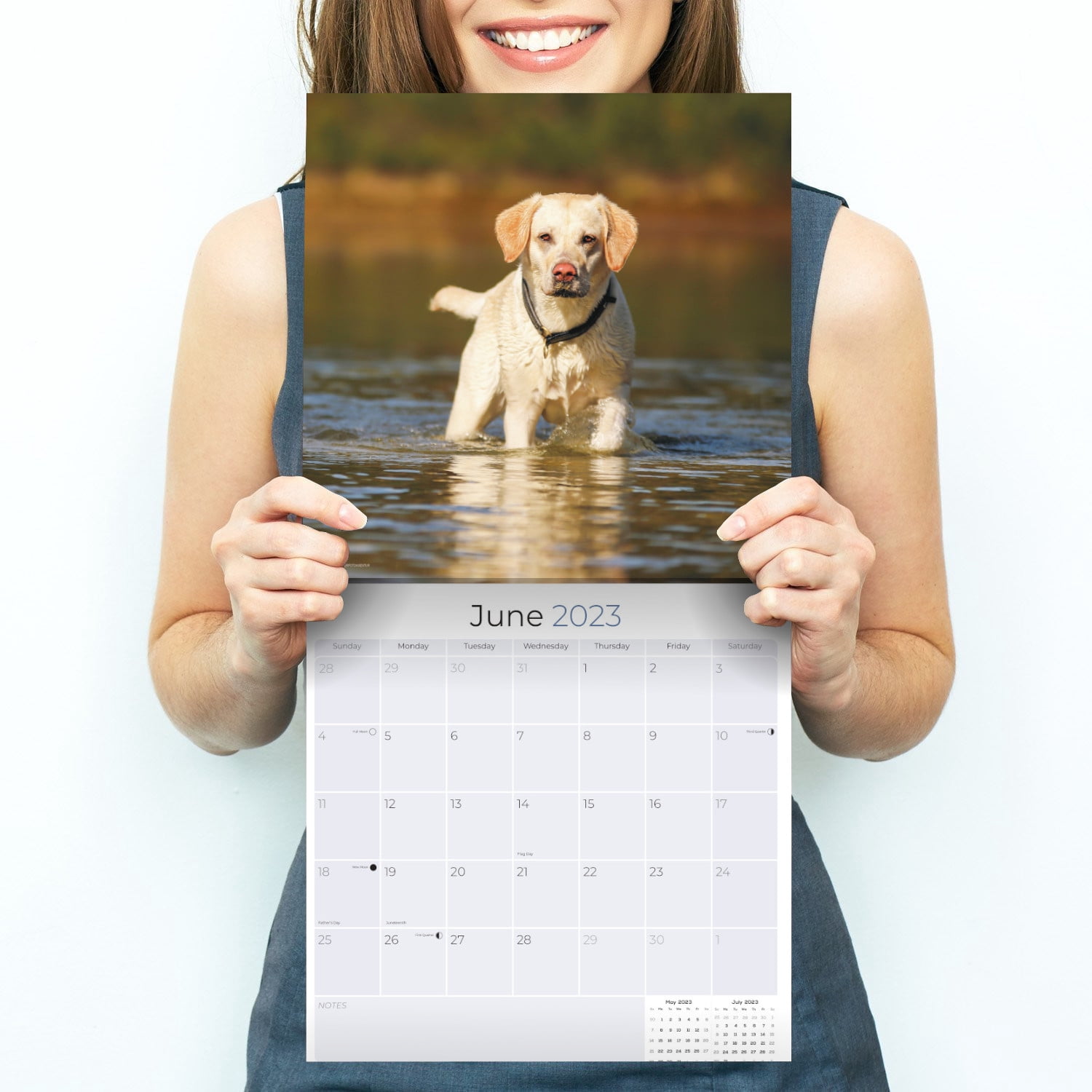 Buy 2022 2023 Yellow Labrador Retriever Calendar - Dog Breed Monthly ...