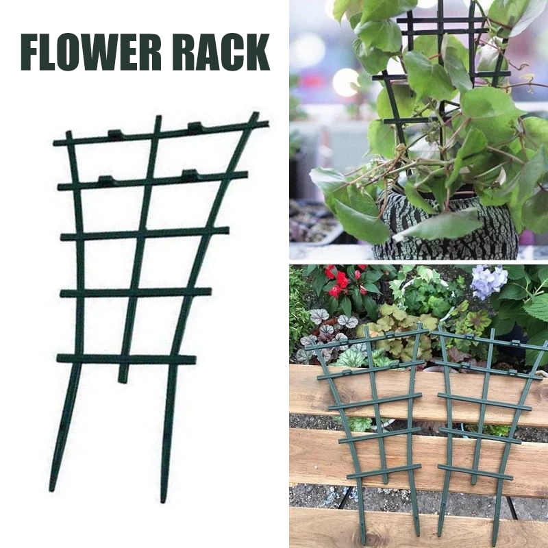 Fan Trellis Vine