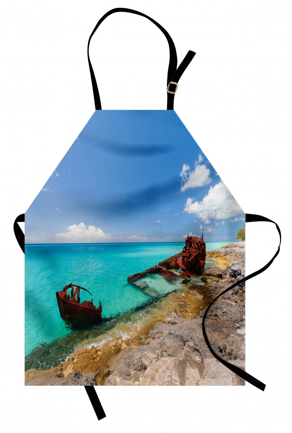 Shipwreck Apron Ship Wreckage on a Peaceful Rock Shore Natural Wonder ...