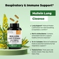 Sandhu's Mullein Capsules for Lungs with Quercetin | Mullein Leaf ...