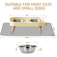 Elevated Cat Bowl Set with Mat, 2 Stainless Steel Bowls Anti-Splash ...