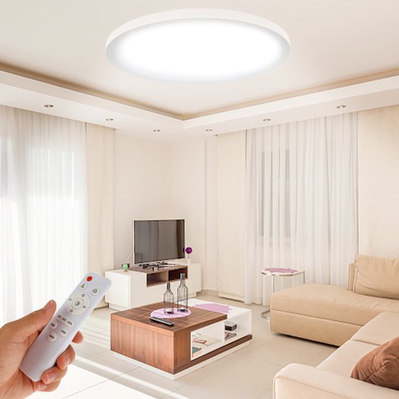 Remote Controlled Ceiling Light Fixture