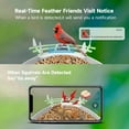 Smart Bird Feeder with Camera Solar Powered,AI Identify Species,2K HD ...