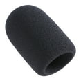 Professional Microphone Windscreen Filter Mic Cover Foam for AT2020 ...