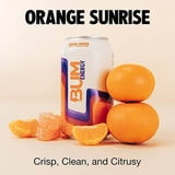 Bum Energy Dr Bum Energy Drink 12 fl oz - Walmart.com