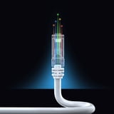 Maximm Cat6 Ethernet Cable, 300 Ft, UTP LAN Cable, RJ45 Network ...