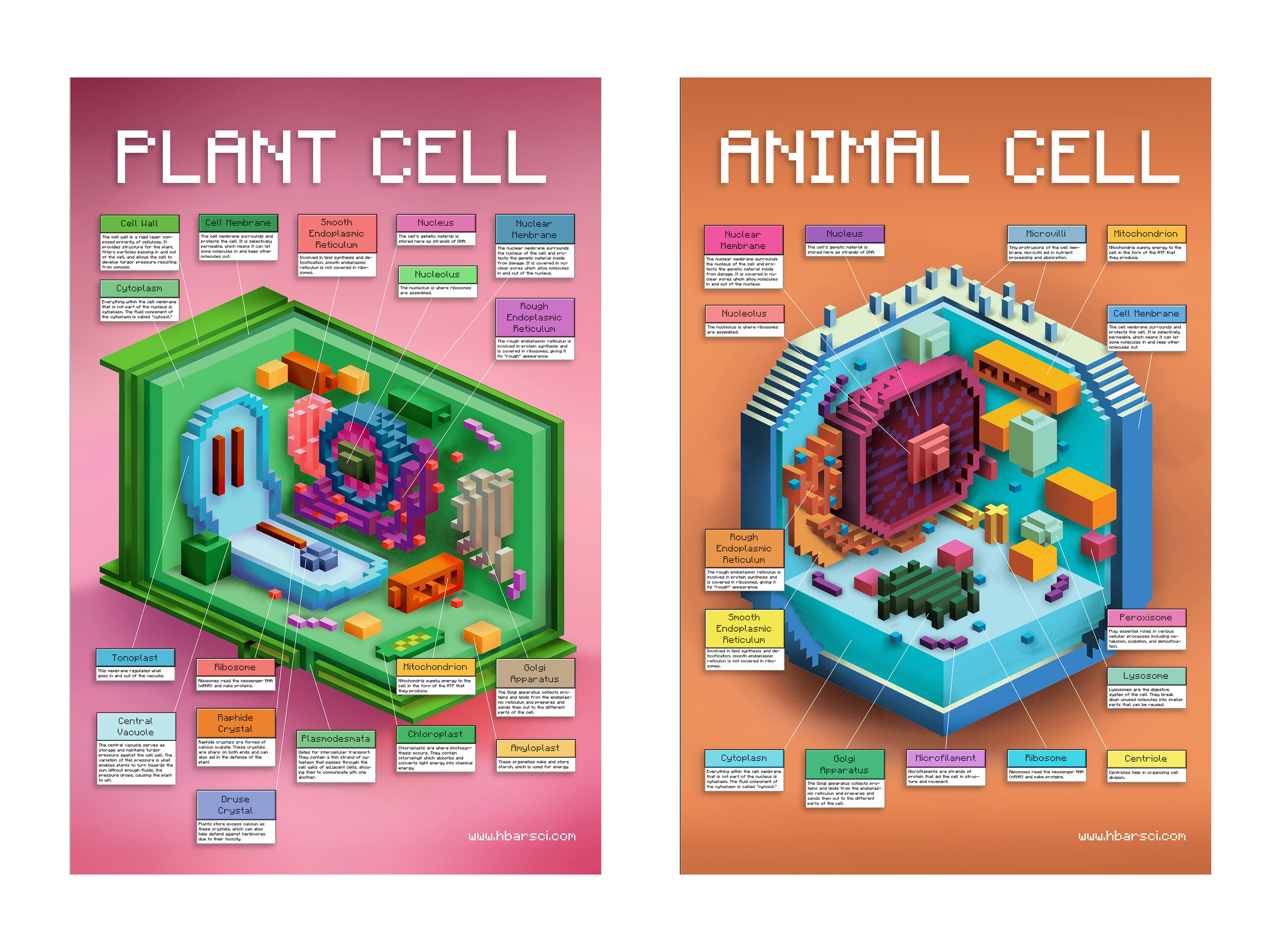 CellCraft Animal Cell & Plant Cell Poster Set - 2 Video Game Cell ...