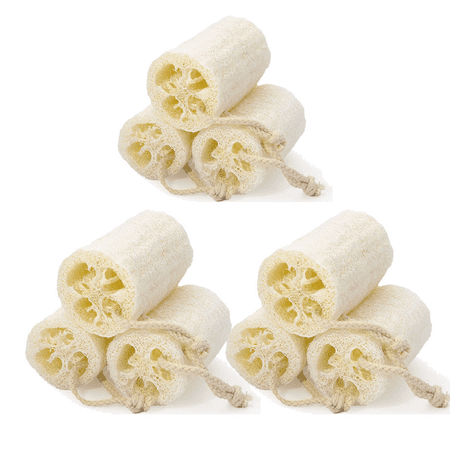 Natural Exfoliating Loofah Sponge - eco Friendly Organic Loofah Luffa ...