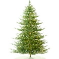 AMERZEST 7.5ft Tall Pre-Lit Aspen Fir Artificial Christmas Xmas Tree with 750 LED Lights ...