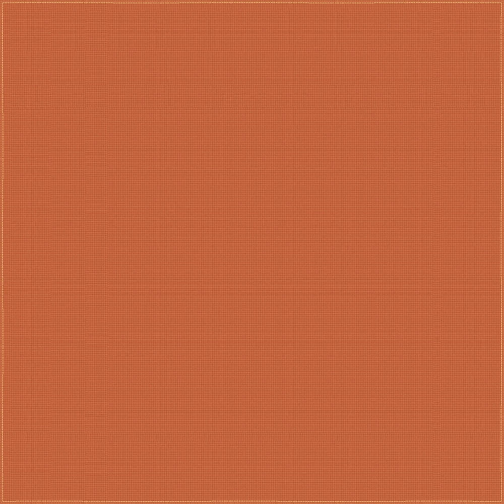 Solid Burnt Orange Background