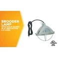 Woods 0165 Brooder Lamp with Bulb Guard,10.5 Inch Reflector and 6 Foot ...