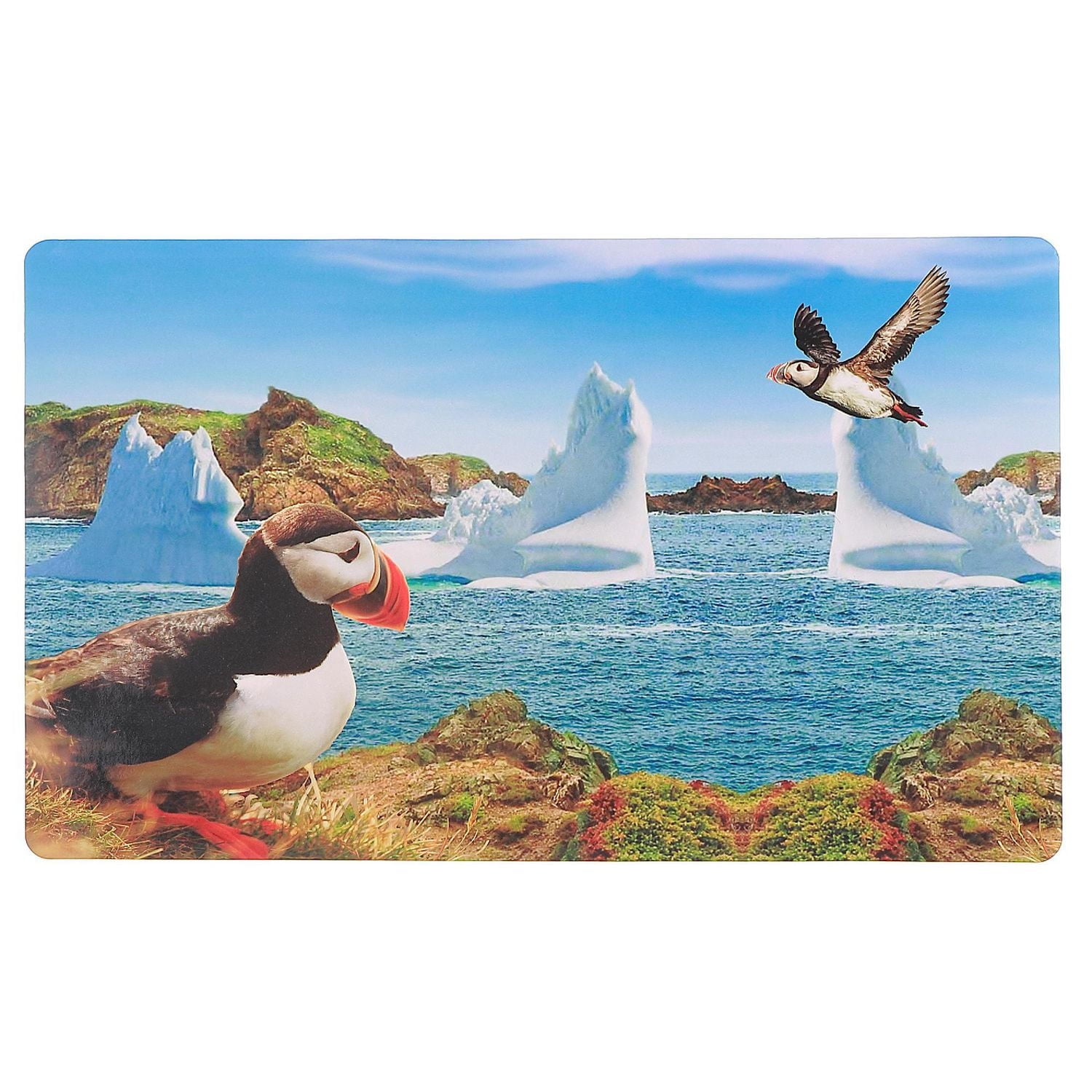 Click here for Ih Casadécor Plastic Placemat Puffin 10.75 X 16.75... prices