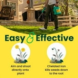Sunday Dandelion Doom Lawn-Safe Weed Killer, Selective Herbicide, 224 ...