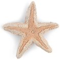 Papo Starfish Ocean Animal Figure 56050 - Walmart.com