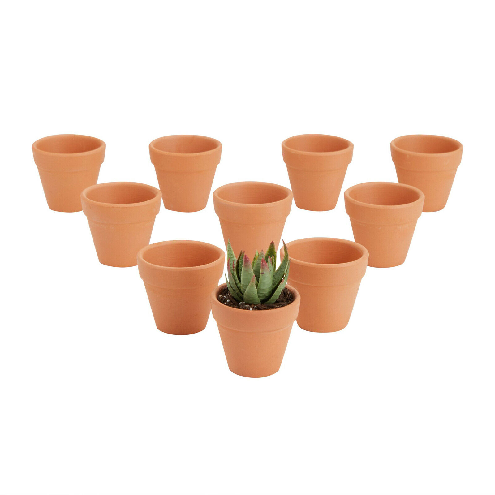 Terracotta 10 Pack Clay Pots for Gardening, Mini Flower Pots, 1.2 x 1.9 ...