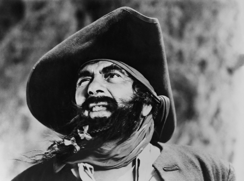 Blackbeard The Pirate Portrait (20 x 16) - Walmart.com - Walmart.com