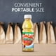 100% Juice Apple, 10oz Bottle, 24/Carton - Walmart.com