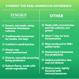 (3 pack) Synergy The Real Kombucha Trilogy, 48 fl oz - Walmart.com