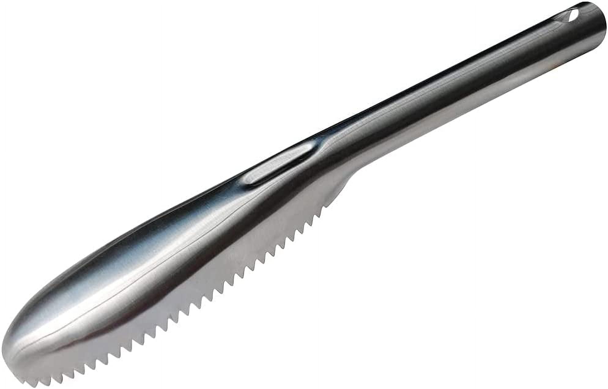 Fish Scaler, 304 Stainless Steel Fish Scaler Remover, Sawtooth Fish ...