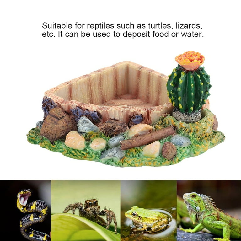 Pet Turtle Bowl