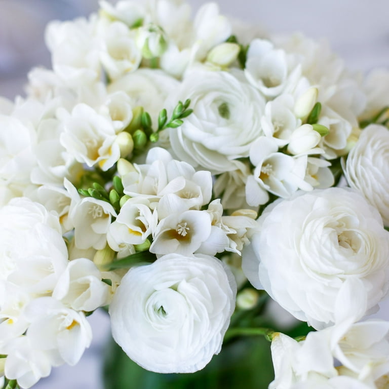 White Ranunculus Flowers