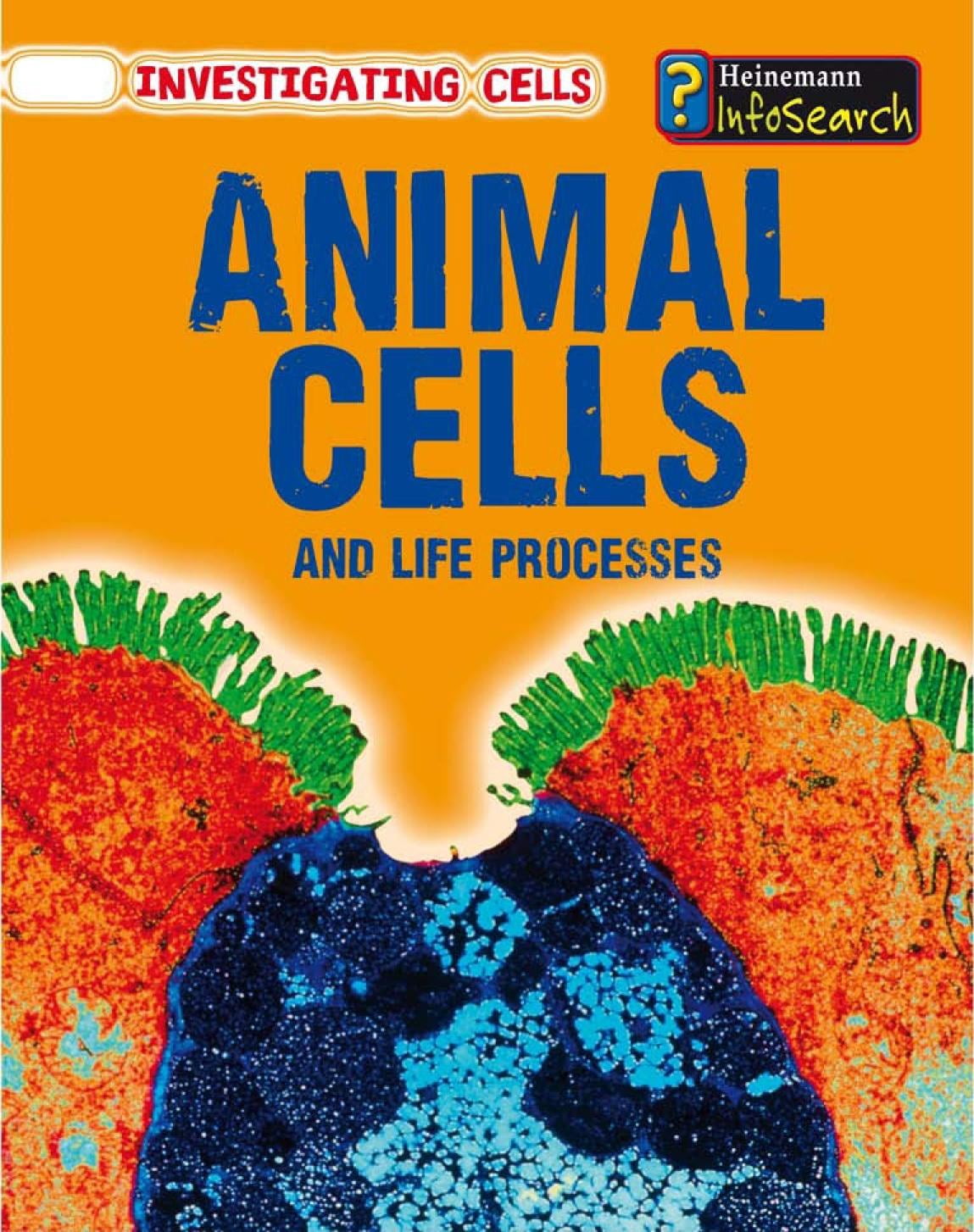 Investigating Cells Animal Cells And Life Processes Hardcover Investigating Cells Animal Cells And Life Processes Hardcover