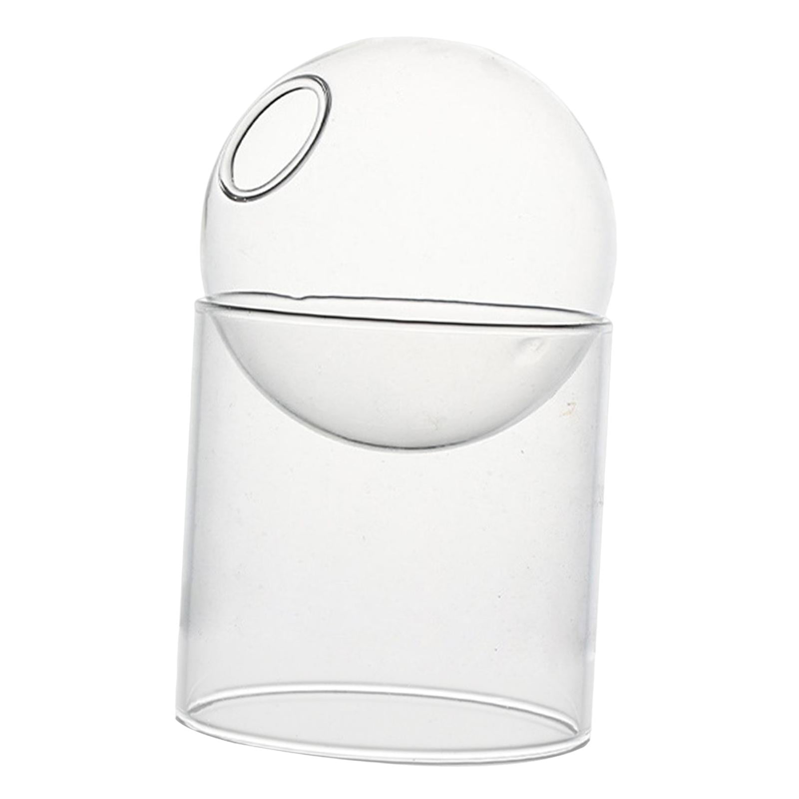 Transparent Glass Vase Decorative Flowerpot Minimalism Propagation ...