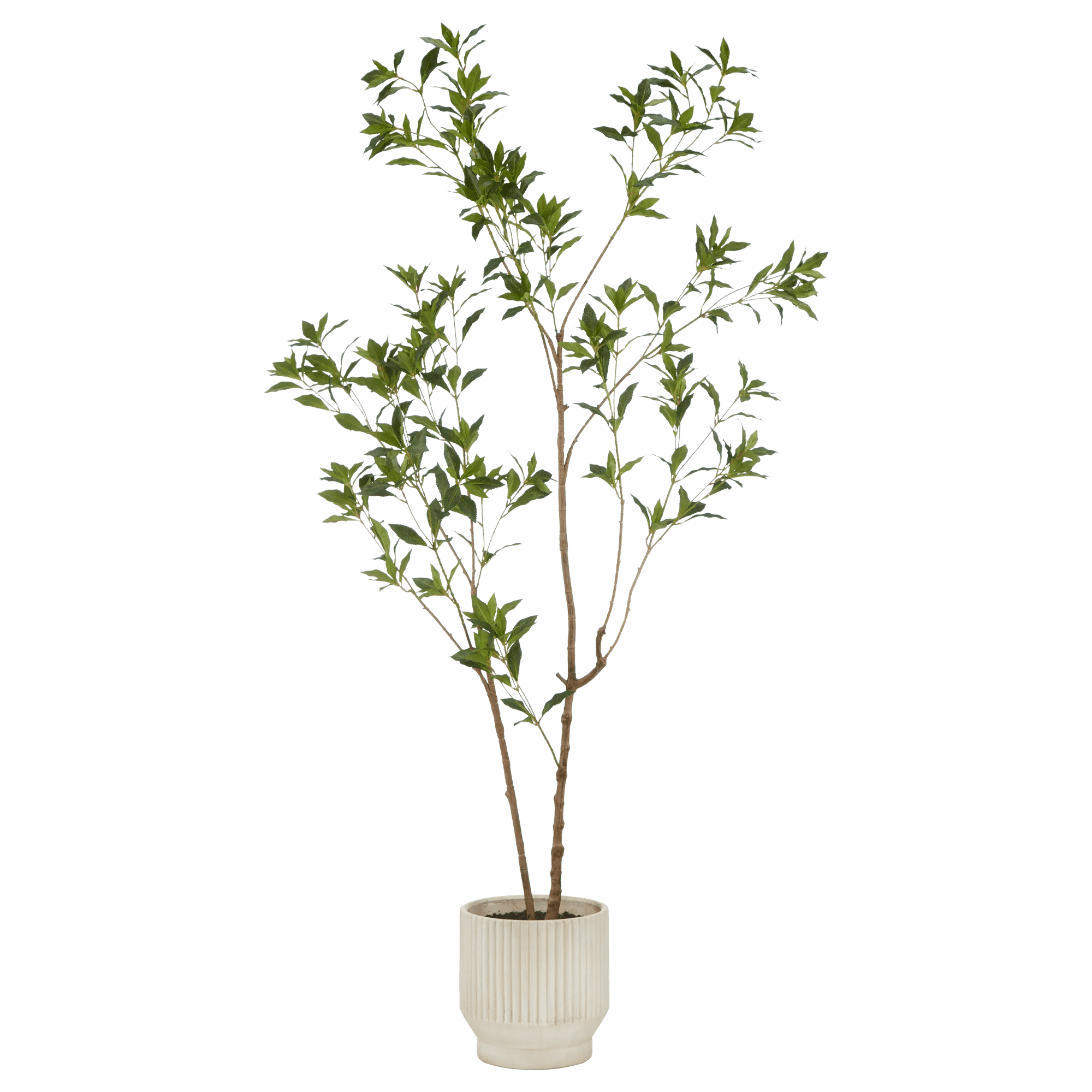 Click here for Bouclair White Japanese Pieris Tree 22 X 22 X 72 I... prices