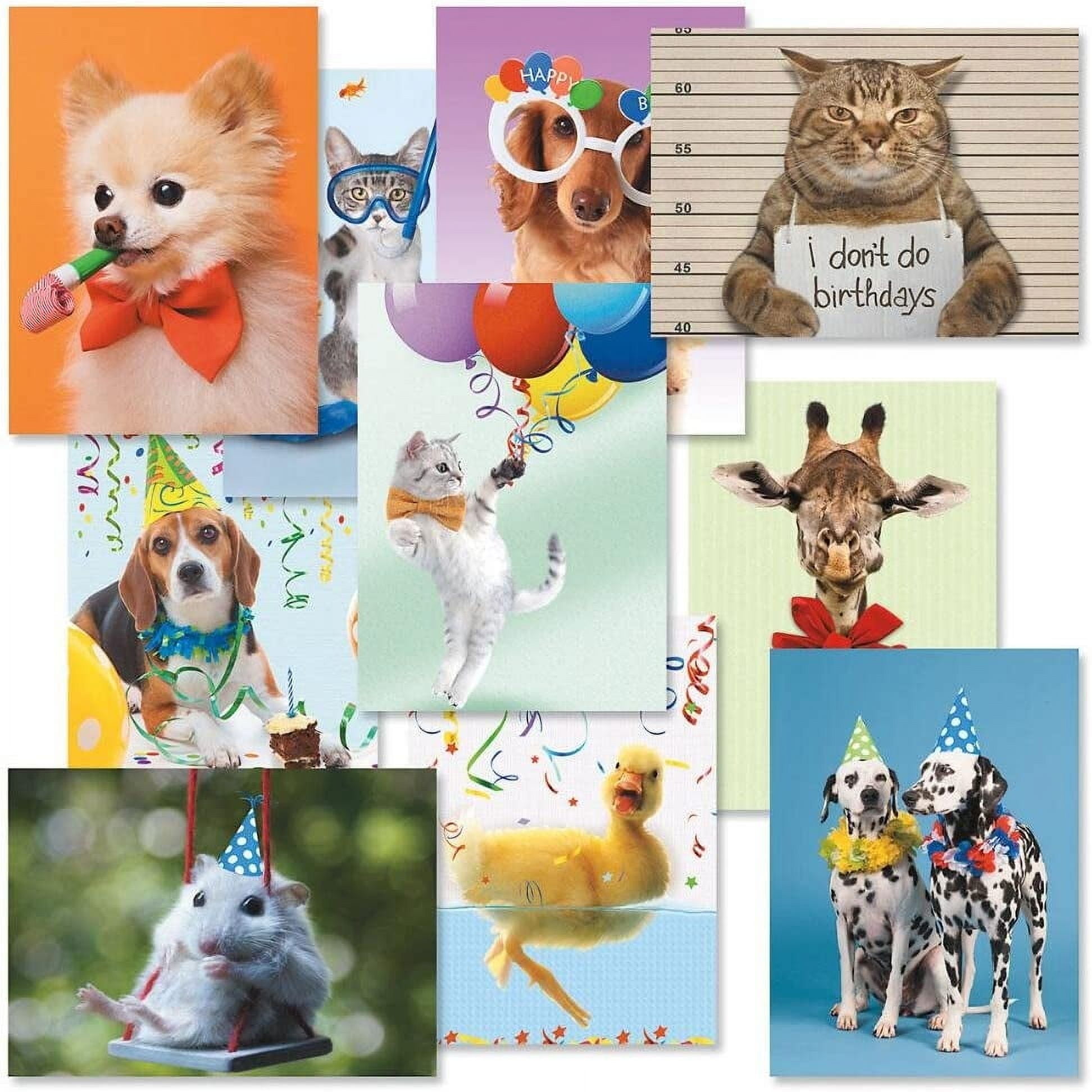 Click here for Current Kids Animal Photo Birthday Greeting Cards... prices