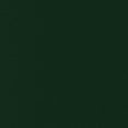 R&E Paint Supply Compatible with FORD P8, Pacific Green Metallic ...