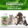 Animals' Apawthecary Tinctures Phytomucil 29.57 gm Powder - Walmart.com