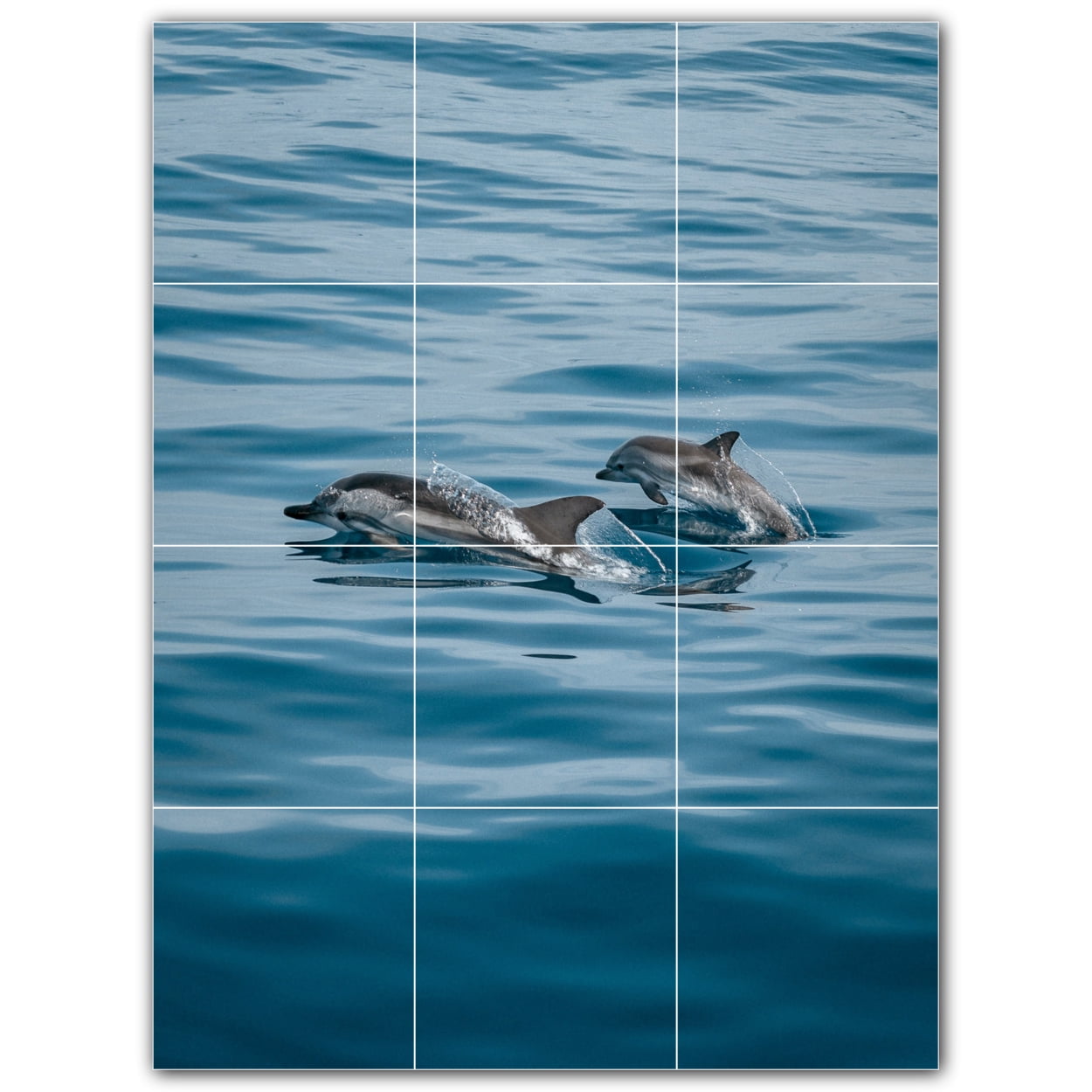 Picture-Tiles.com: Dolphin Ceramic Tile Wall Mural WAL500501-34M. 18"W ...