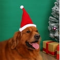 Furry Plush Pet Christmas Party Hat Santa Hat for Large Dogs Cats ...
