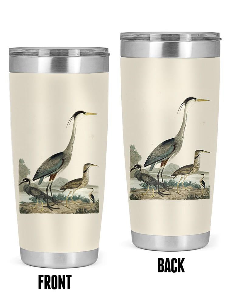 World Art Group Heron Family I Tumbler -Alexander Wilson Designs, 20 oz ...
