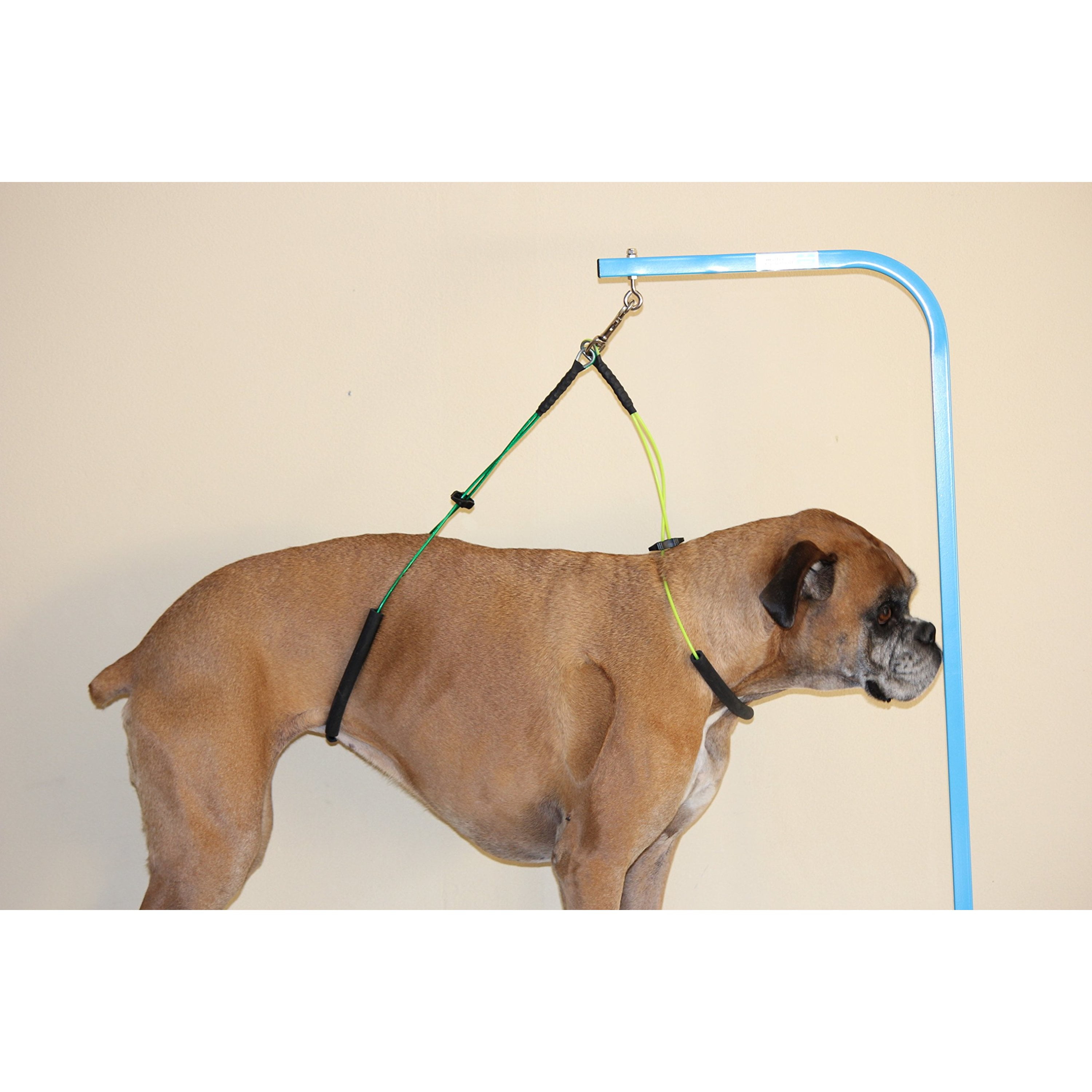 Dog Dog Grooming NO SIT LIE DOWN Cable RESTRAINT LOOP HARNESS SYSTEM ...