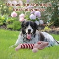1PC Squeaky Dog Toys to Keep Them Busy Squeaky Dog Toys with Soft ...