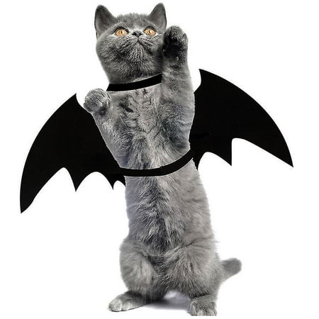 Halloween Pet Cat Bat Wings, Bat Costumes For Cats And Puppies, Pet ...