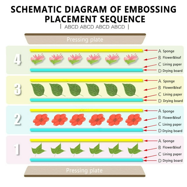 A5 Flower Press Kit Professional Pressing Plate Dry Plate Including ...
