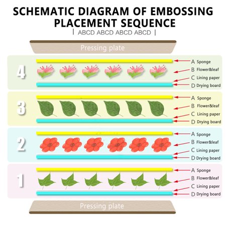 A5 Flower Press Kit Professional Pressing Plate Dry Plate Including ...