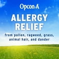 (2 pack) Opcon-A Eye Allergy Relief Drops for Dry Itchy Red Eye Relief ...