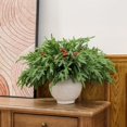 24 Pcs 18 Inch Real Touch Norfolk Pine Branches Christmas Greenery ...
