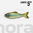 6th Sense Panorama 5.0 Soft Swimbait – Bass & Crappie Fishing Lure ...