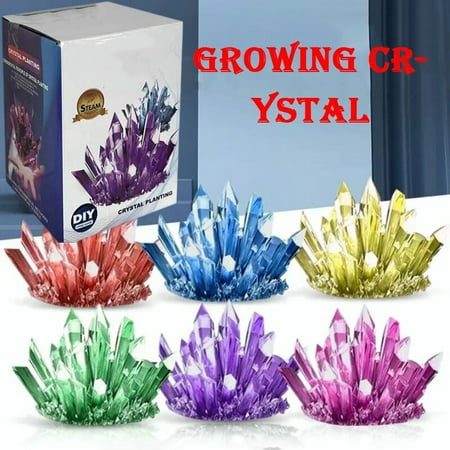 Growing Science Kit Kids Conduct Crystal Growing Experiments Biology ...