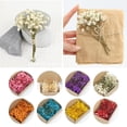 Blarkrus Dried Flowers 2.36 in-5.91, Long-Lasting Preserved Flowers for ...