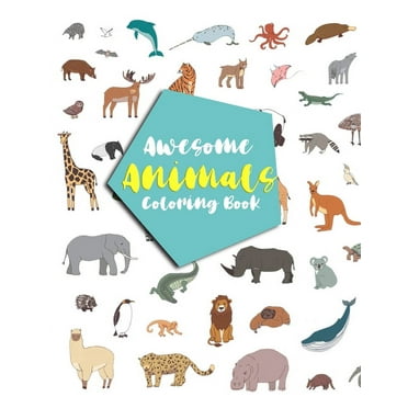 Amazing Pets Sticker Activity Book - Walmart.com