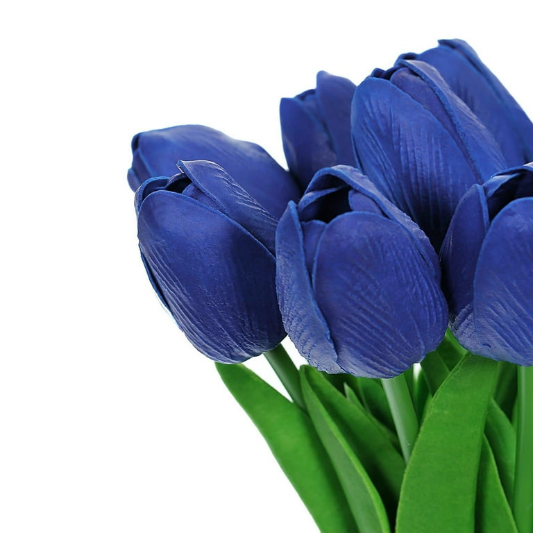 Real Blue Tulips