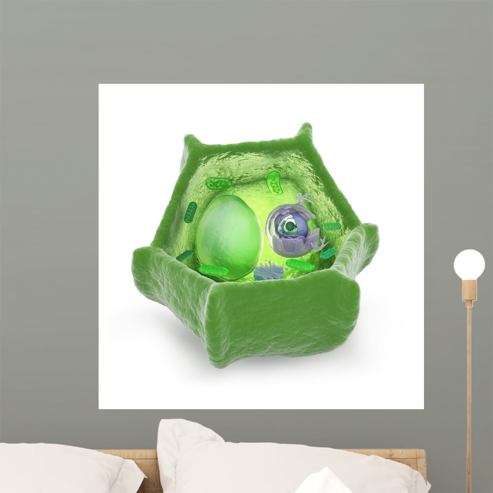 Plant Cell Cutaway Illustration Wall Mural Decal by Wallmonkeys Vinyl ...