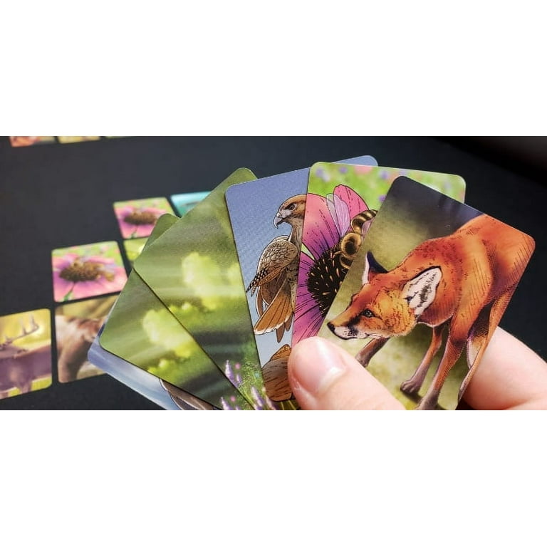 Ecosystem A Family Card Game About Animals, Their Habitats,, 54% OFF