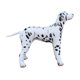 Jet Creations Inflatable Dalmatian Dog Animals, 30 inch Tall - Walmart.com